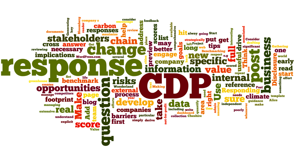 10 Tips – How to Improve Your CDP Scores and Generate Business Value ...